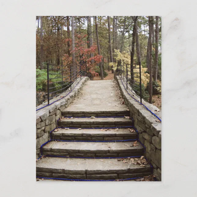 Pathway Postcard | Zazzle