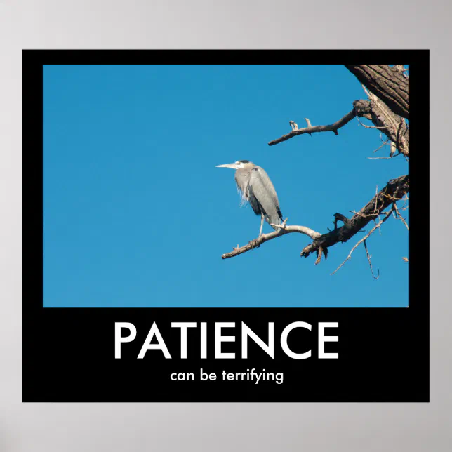 PATIENCE, can be terrifying Demotivational Poster | Zazzle