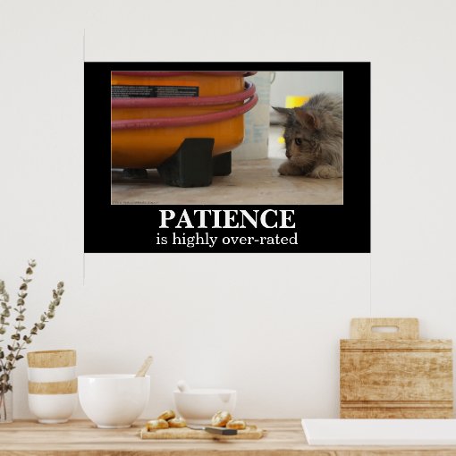 Patience Cat and Mouse Demotivational Poster | Zazzle