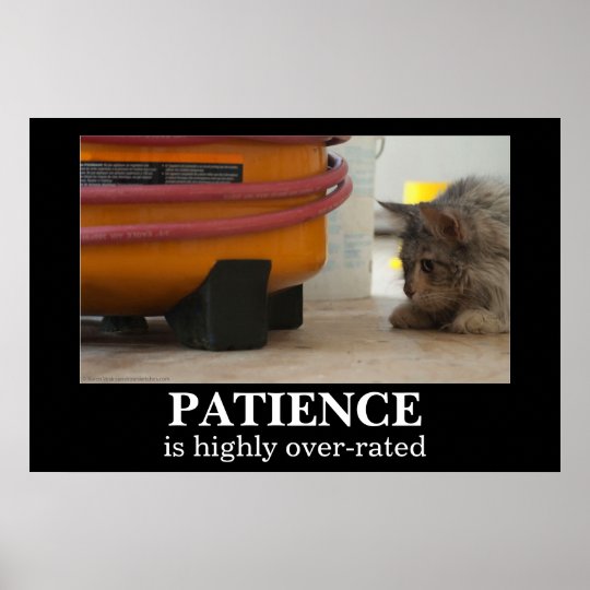 Patience Cat and Mouse Demotivational Poster | Zazzle.com