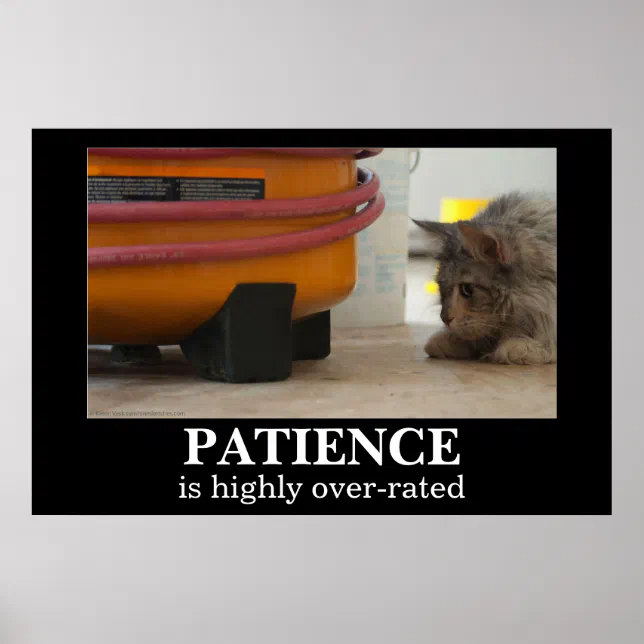 Patience Cat and Mouse Demotivational Poster | Zazzle