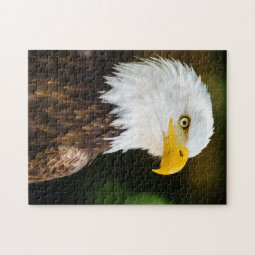 Patriotic Adult American Bald Eagle Jigsaw Puzzle | Zazzle