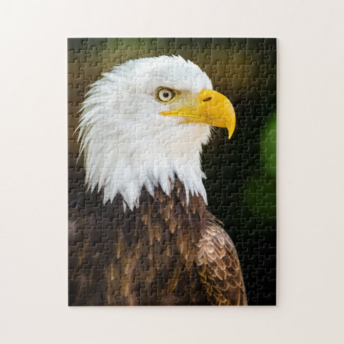 Patriotic Adult American Bald Eagle Jigsaw Puzzle | Zazzle.com