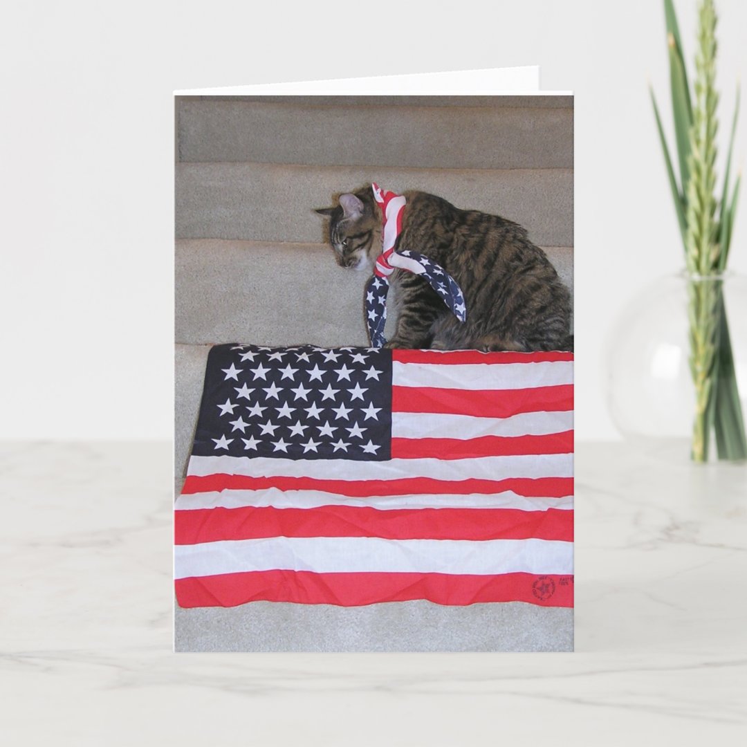 Patriotic Cat Card | Zazzle