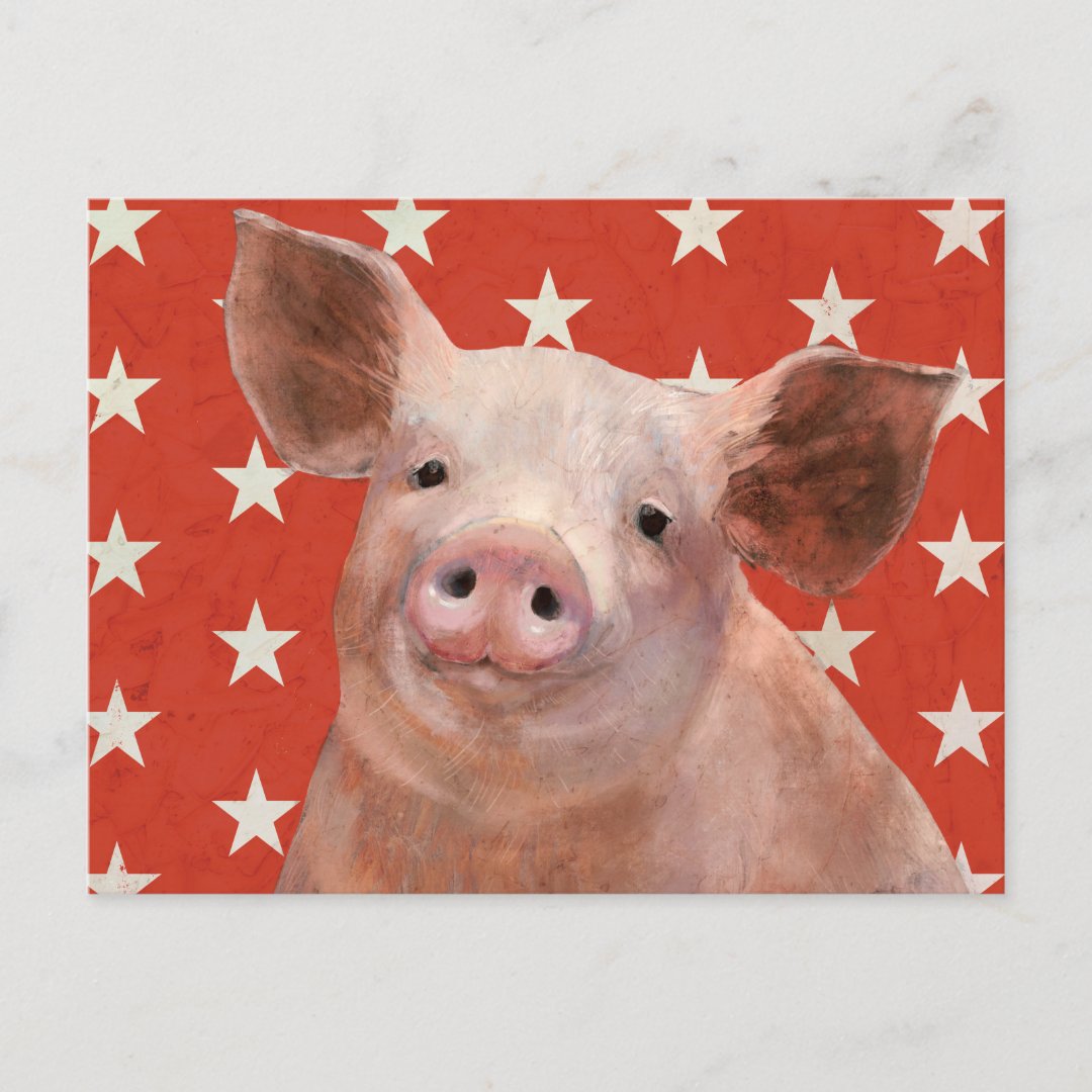 Patriotic Farm - Pig Postcard | Zazzle