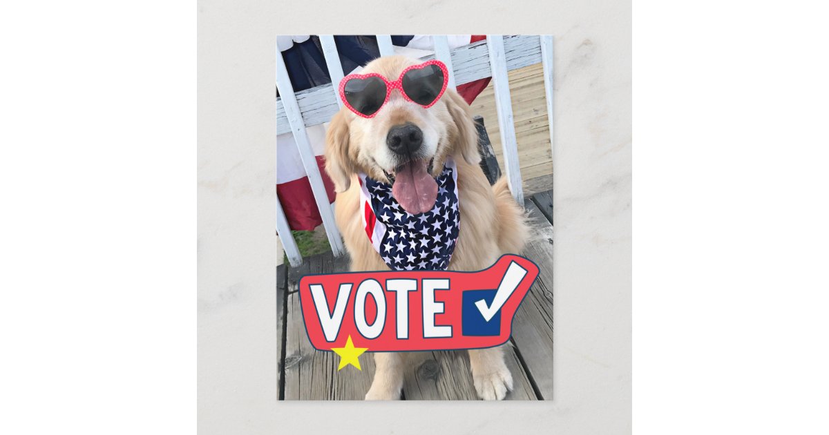 Patriotic Golden Retriever Dog Vote Postcard | Zazzle