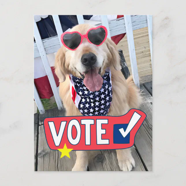 Patriotic Golden Retriever Dog Vote Postcard | Zazzle