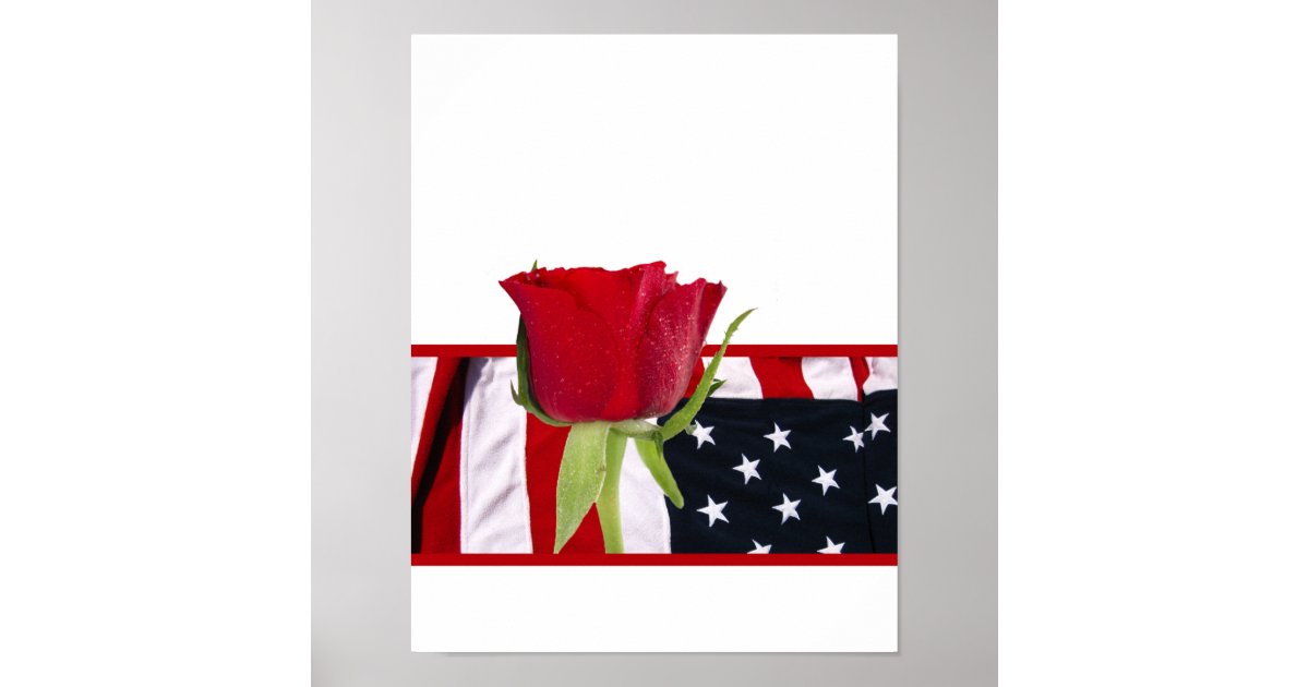 Patriotic Rose Poster | Zazzle