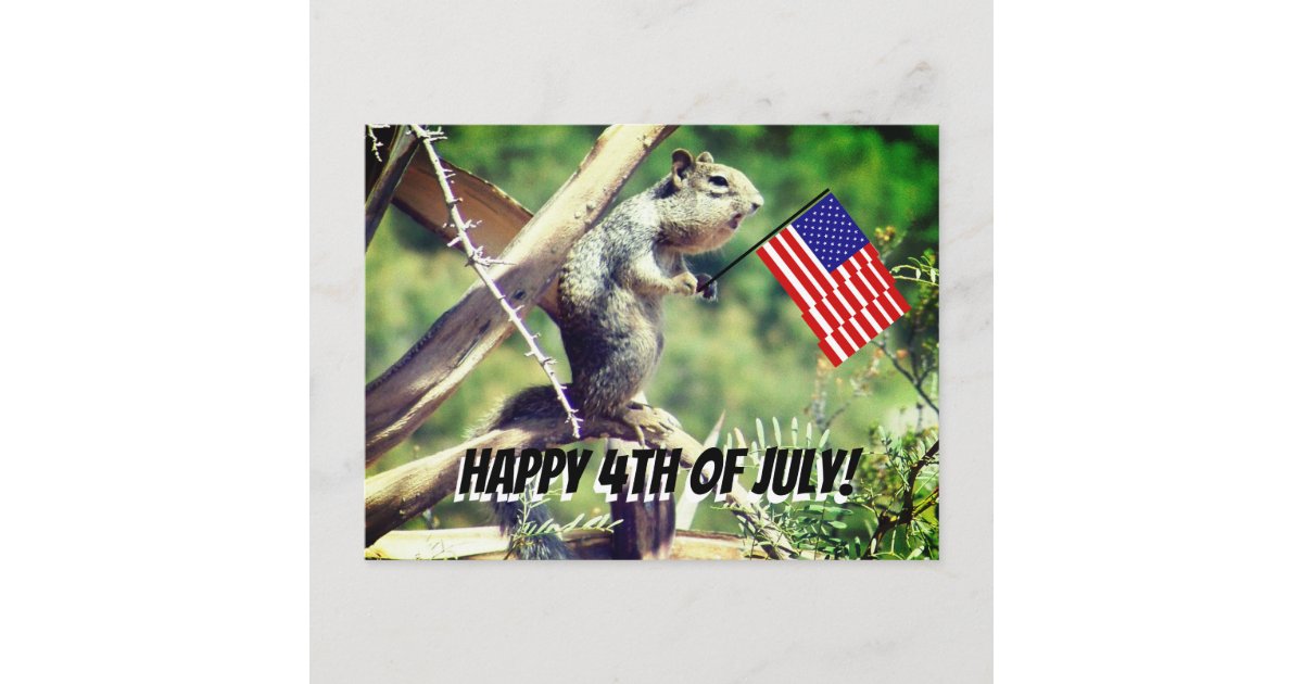 Patriotic Squirrel Postcard | Zazzle