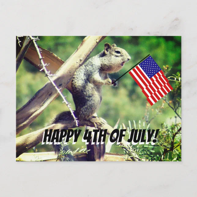 Patriotic Squirrel Postcard | Zazzle