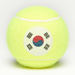 Patriotic Tennis Ball with Flag of South Korea | Zazzle
