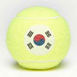 Patriotic Tennis Ball with Flag of South Korea | Zazzle
