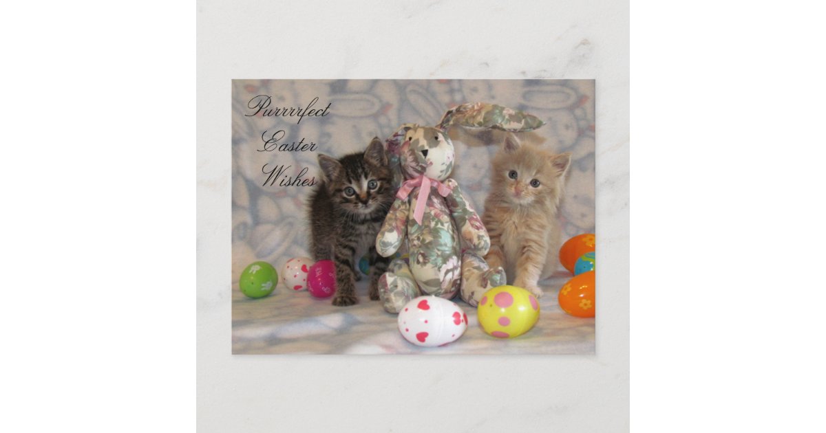 Patton and Buffington Easter Postcard | Zazzle