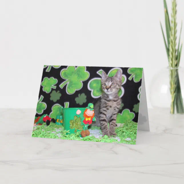 Patton the St. Patrick's Day Cat Greeting Card | Zazzle