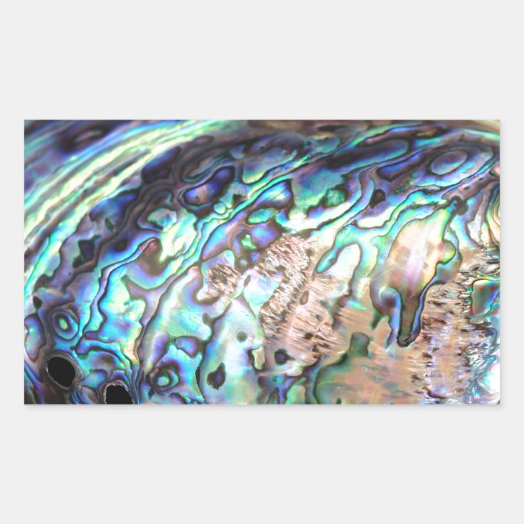 Paua abalone blue and green shellfish detail rectangular sticker | Zazzle