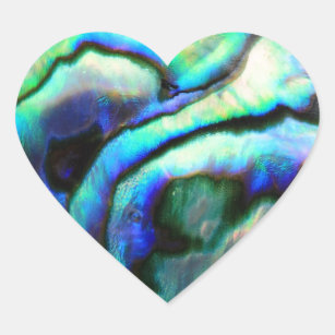Abalone Stickers | Zazzle