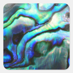 Abalone Stickers | Zazzle