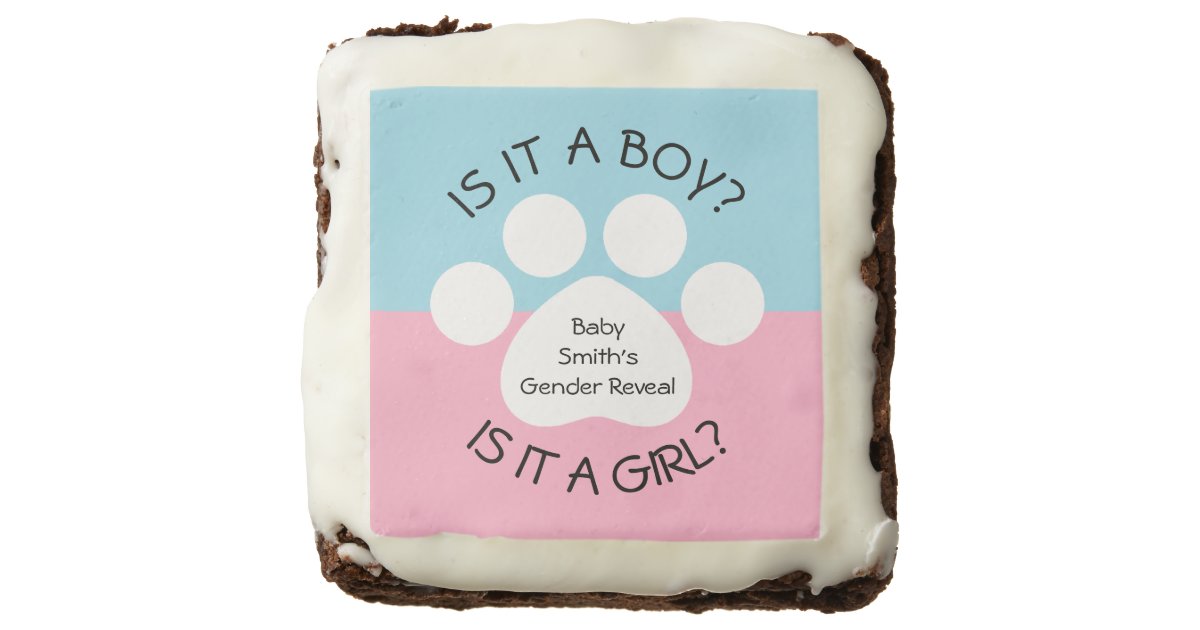 Paw Print Gender Reveal Party Brownie | Zazzle