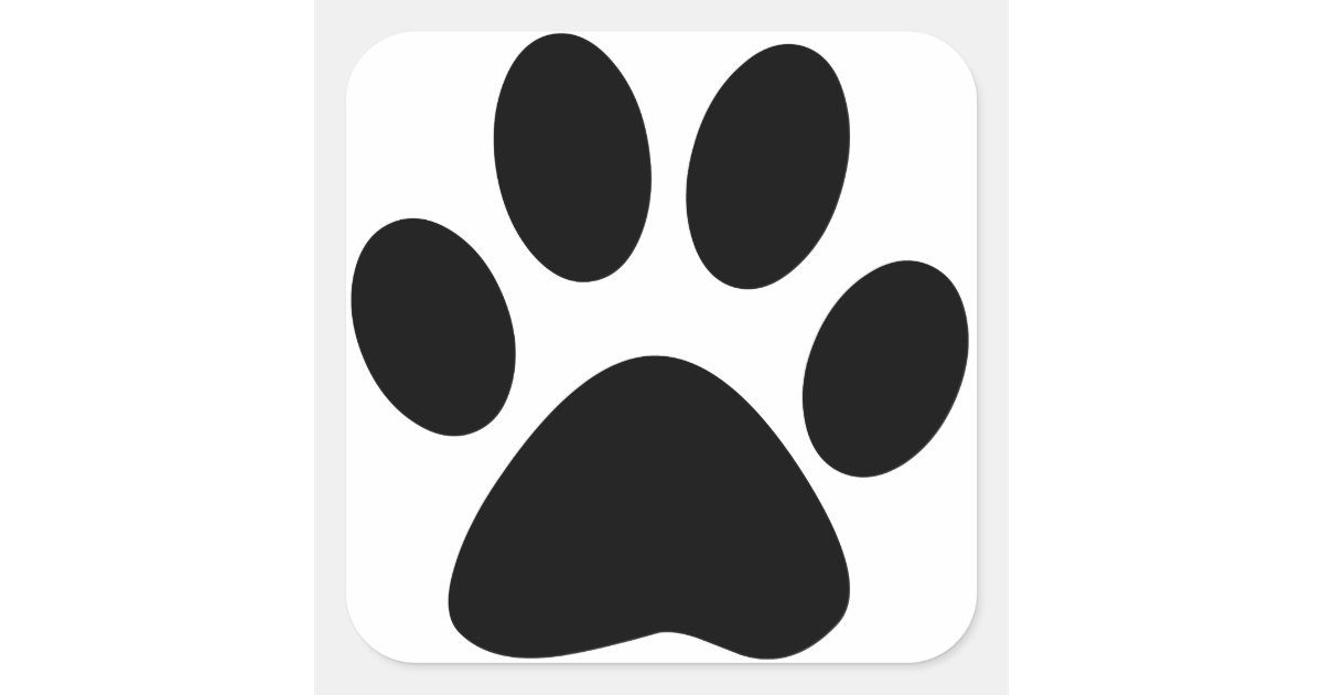 Paw Print Square Sticker | Zazzle