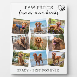 Paw Prints Forever In Our Hearts Dog Pet Memorial Plaque | Zazzle