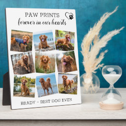 Paw Prints Forever In Our Hearts Dog Pet Memorial Plaque | Zazzle