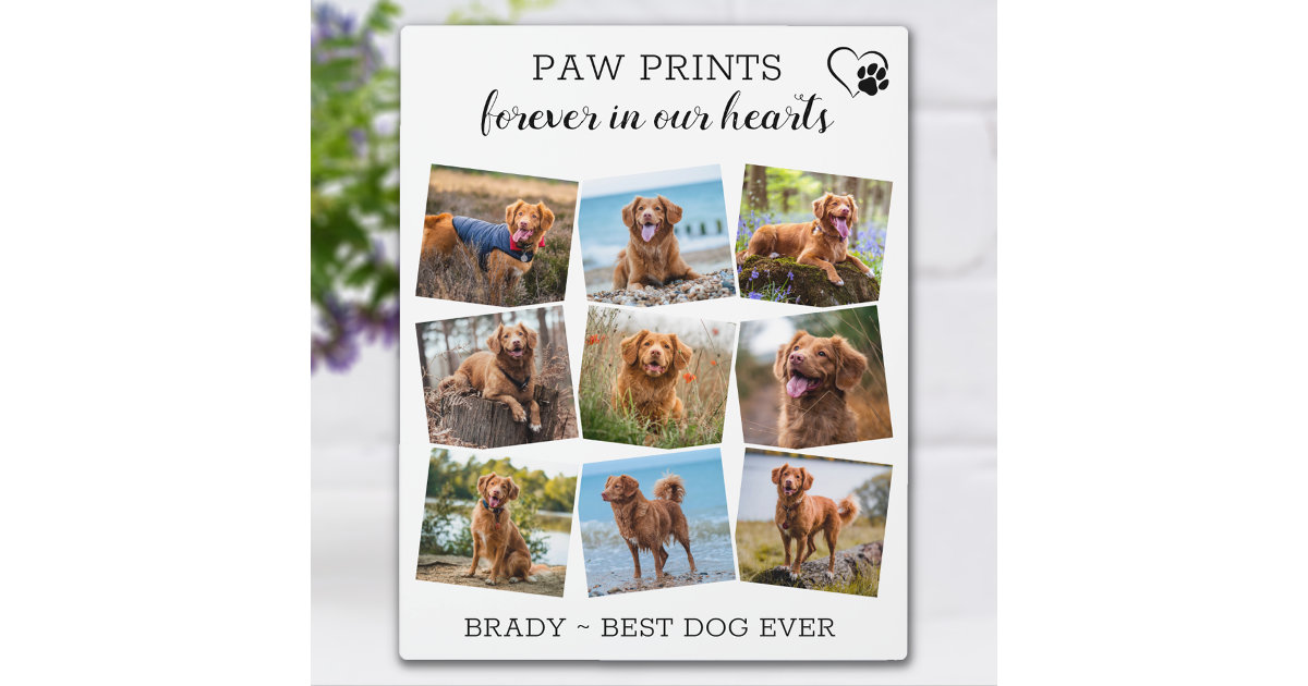 Paw Prints Forever In Our Hearts Dog Pet Memorial Plaque | Zazzle