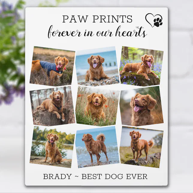 Paw Prints Forever In Our Hearts Dog Pet Memorial Plaque | Zazzle