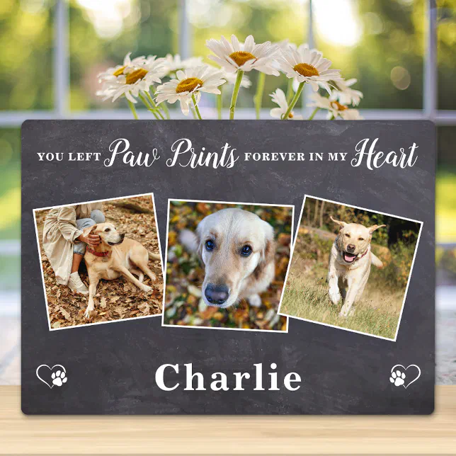 Paw Prints Personalized 3 Photo Dog Pet Memorial Plaque | Zazzle
