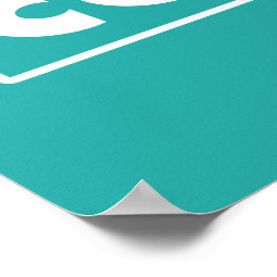 PAWNEE EAGLETON UNITY CONCERT POSTER | Zazzle