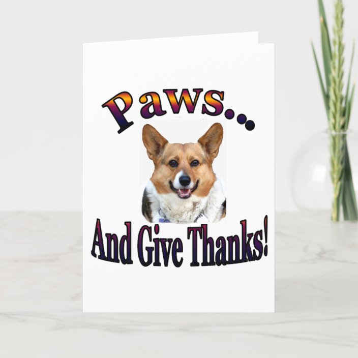 Paws and give thanks thank you card | Zazzle