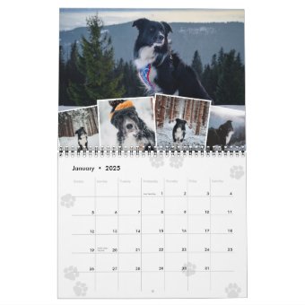 Paws Monthly Photo Collage Pet Photos Calendar | Zazzle