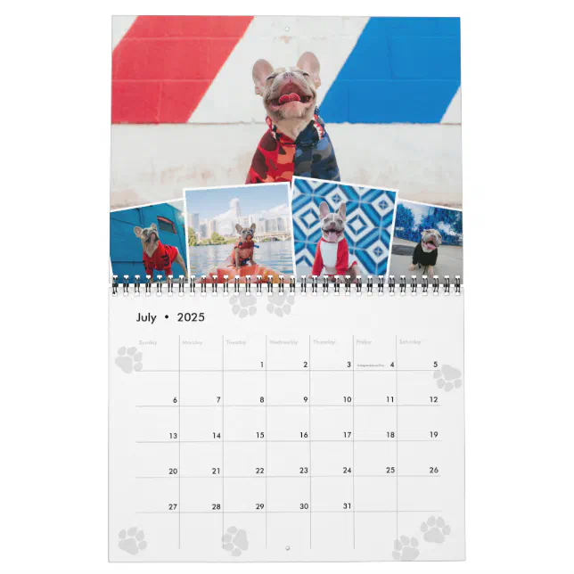 Paws Monthly Photo Collage Pet Photos Calendar | Zazzle