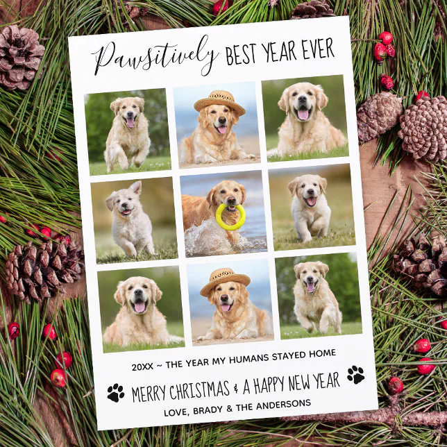 Pawsitively Best Year Ever Dog Pet Photo Collage H Holiday Card | Zazzle