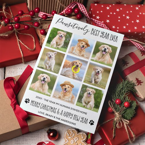 Pawsitively Best Year Ever Dog Pet Photo Collage H Holiday Card | Zazzle