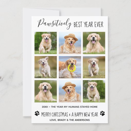 Pawsitively Best Year Ever Dog Pet Photo Collage H Holiday Card | Zazzle