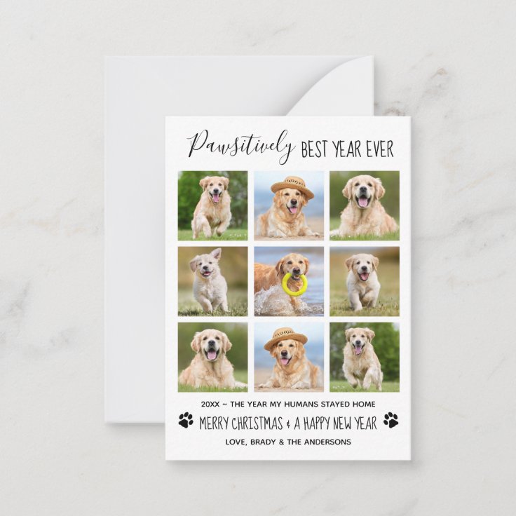 Pawsitively Best Year Ever Dog Pet Photo Collage Note Card | Zazzle