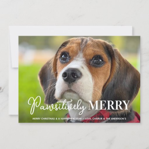 Pawsitively Merry Custom Pet Dog Photo Christmas Holiday Card | Zazzle