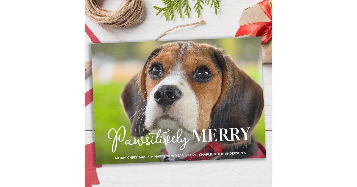 Pawsitively Merry Custom Pet Dog Photo Christmas Holiday Card | Zazzle