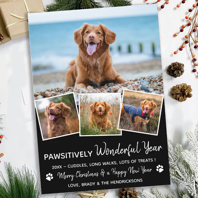 Pawsitively Pet Year in Review Black Pet Dog Photo Holiday Card | Zazzle