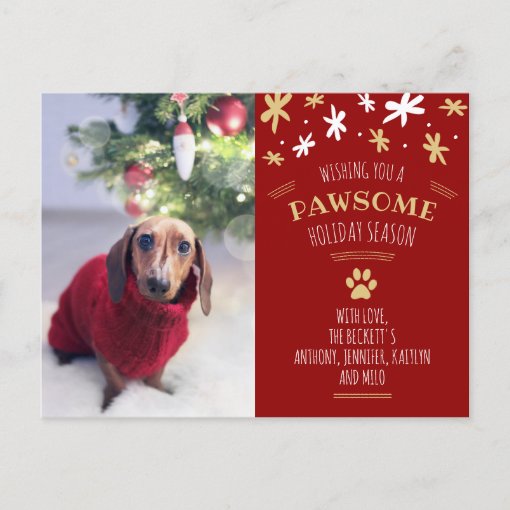 Pawsome Holiday Season Pet Holiday Photo Announcement Postcard | Zazzle