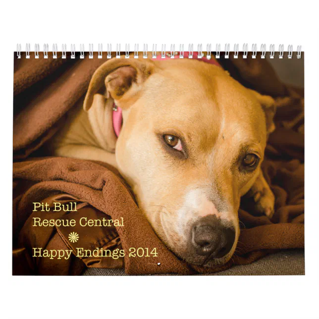 PBRC's Happy Endings Pit Bull Calendar 2014 | Zazzle