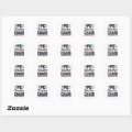 PE Teacher Chaos Coordinator Classic Round Sticker | Zazzle