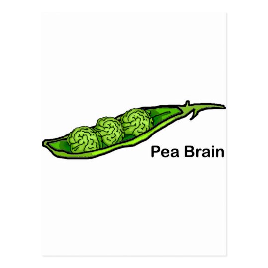 Pea Brain Postcard | Zazzle.com