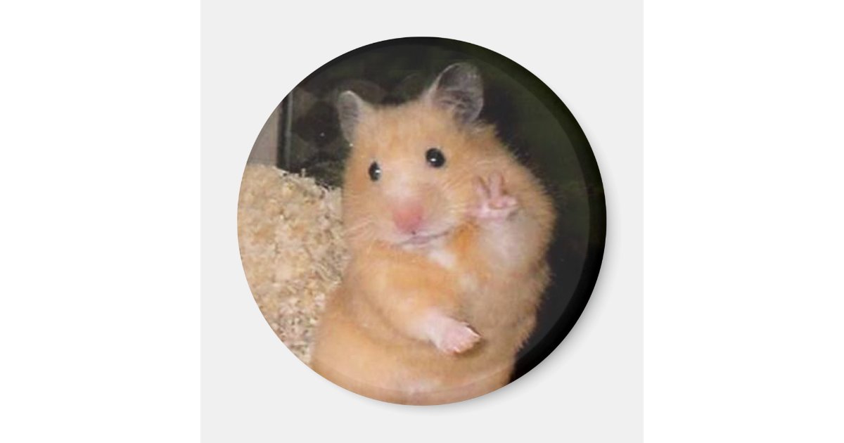 Peace Hamster Meme Magnet | Zazzle