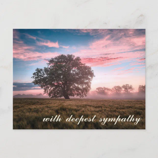 Peaceful Nature Scene Tree Sunset Sunrise Sympathy Postcard | Zazzle