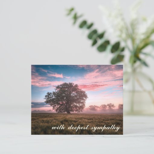 Peaceful Nature Scene Tree Sunset Sunrise Sympathy Postcard | Zazzle