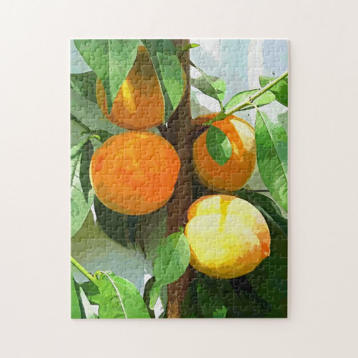 PEACHES JIGSAW PUZZLE | Zazzle.com