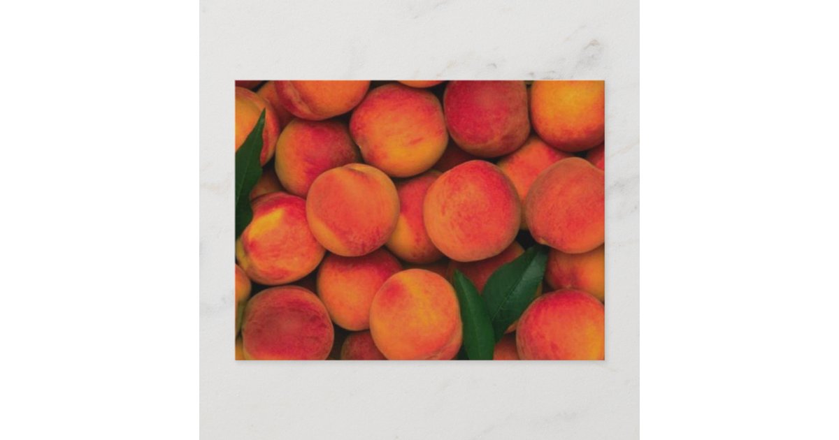 Peaches Postcard | Zazzle