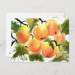 Peaches! Postcard | Zazzle