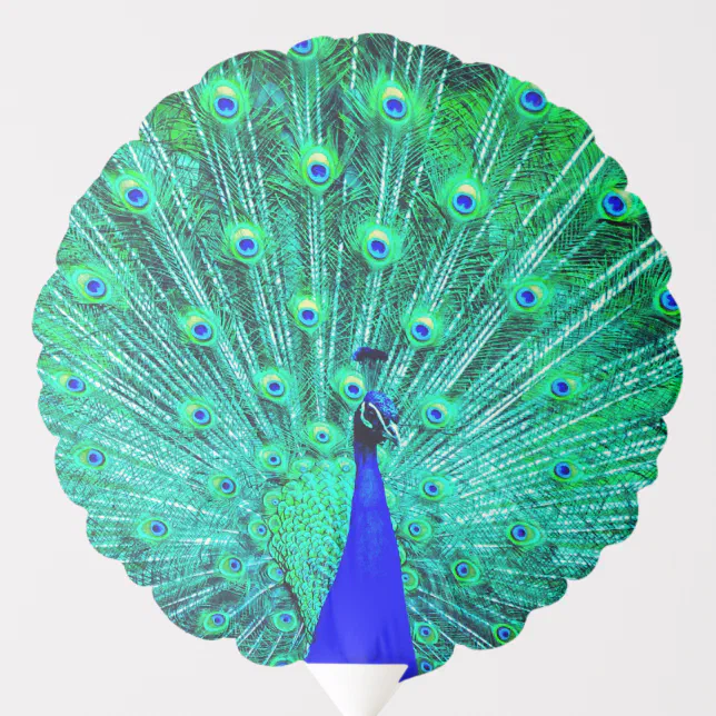 Peacock Balloon | Zazzle